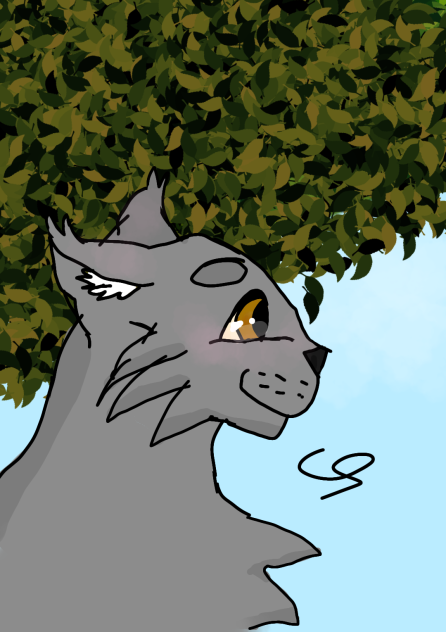 Graystripe - ibisPaint