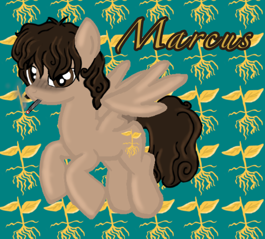 MLP Pegasus Marcus - ibisPaint