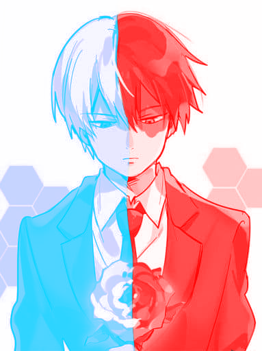 todoroki - ibisPaint