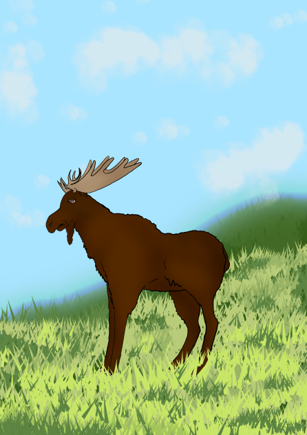 My Moose Pet - ibisPaint