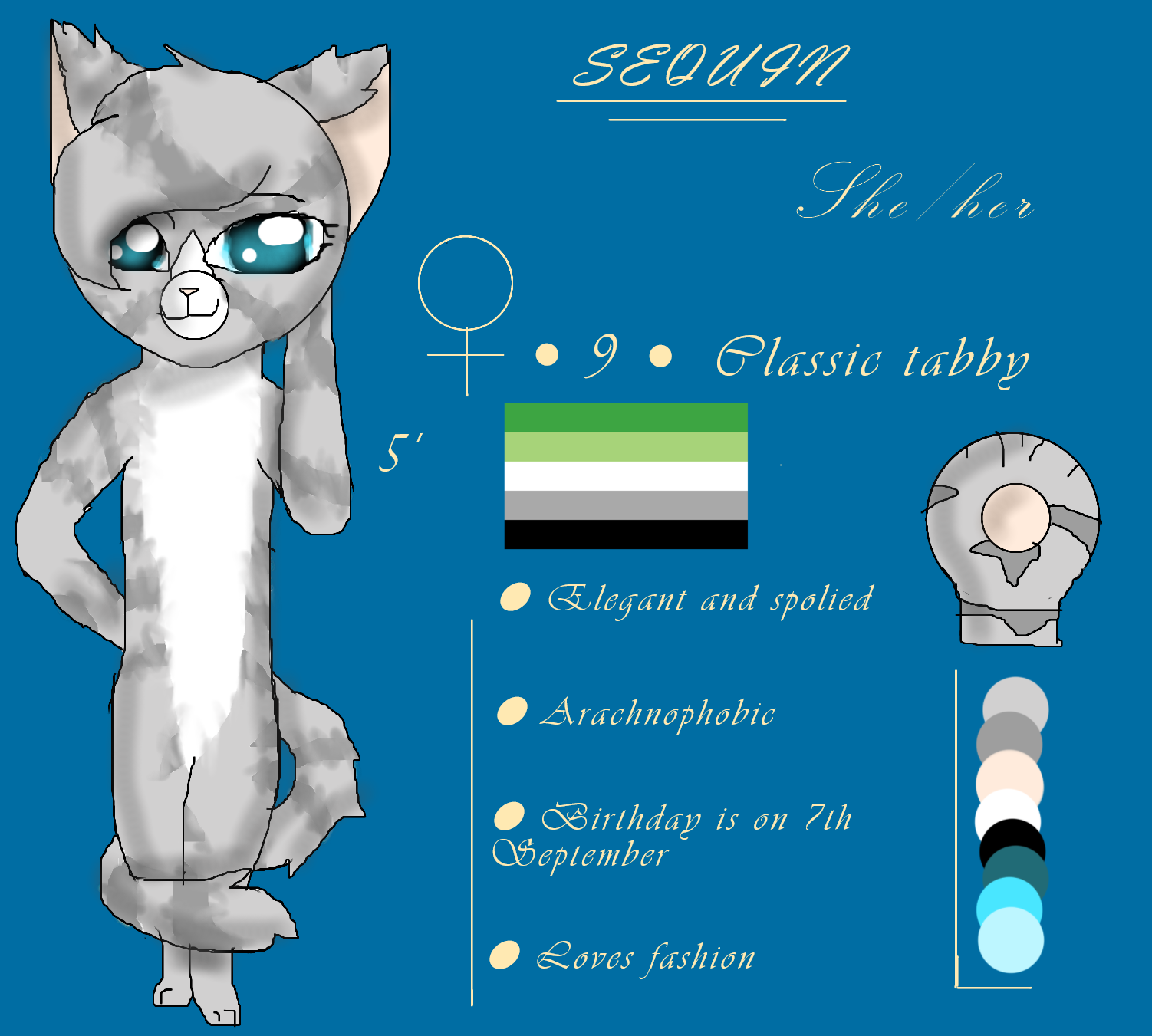 Sequin ref - ibisPaint
