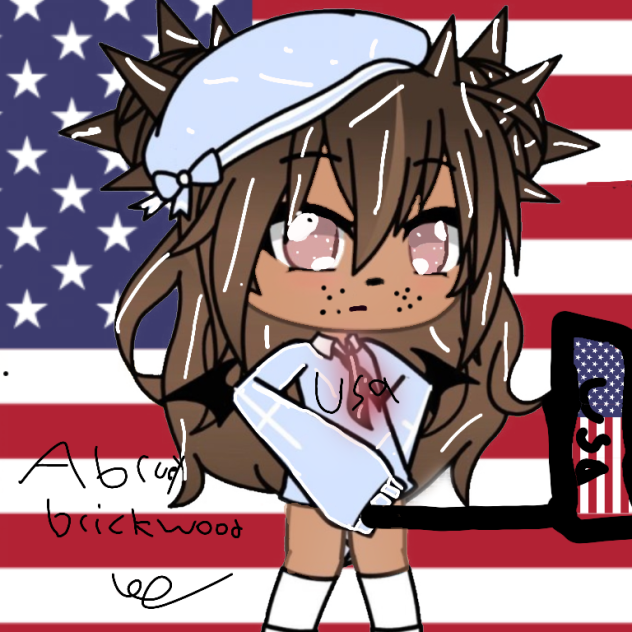 USA - ibisPaint