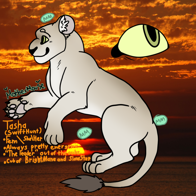 SwiftHunt cub Ref Sheet !! - ibisPaint