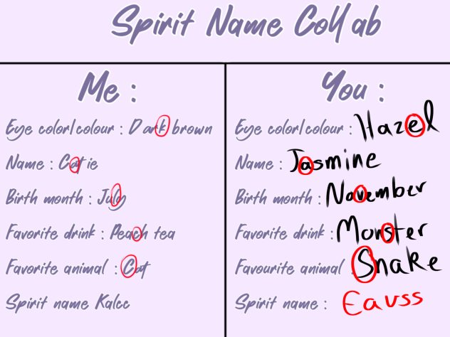 Spirit Name - ibisPaint