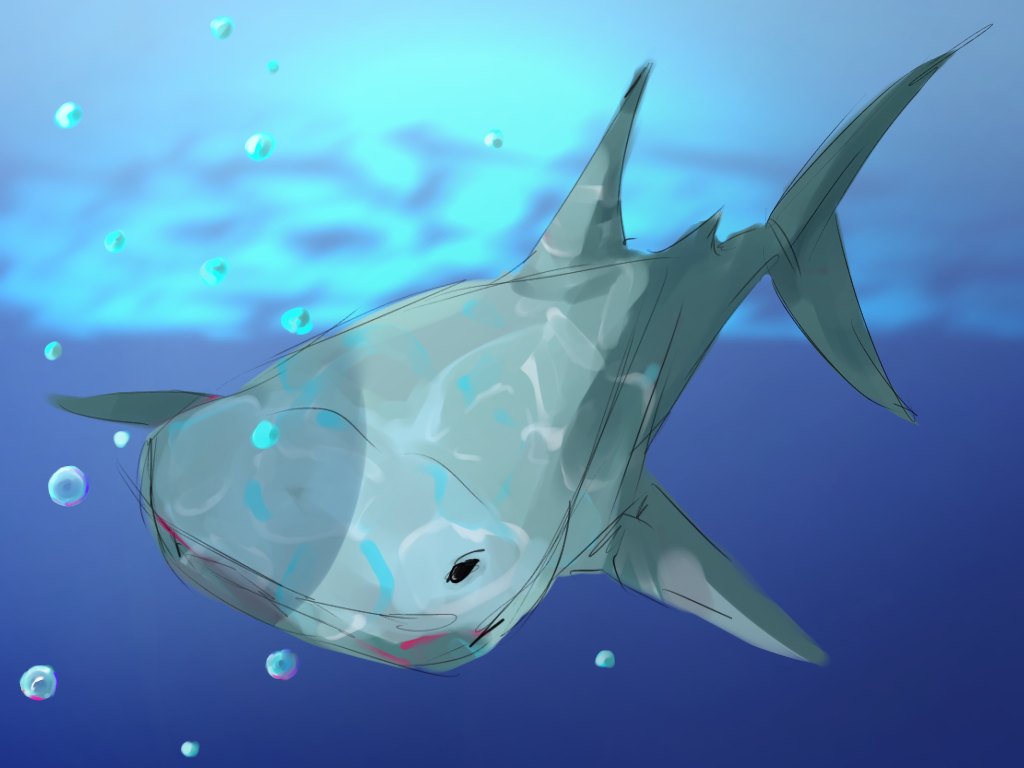 Shark Art - ibisPaint