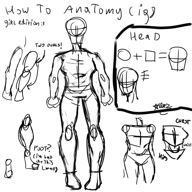 how I anatomy 😨 - ibisPaint