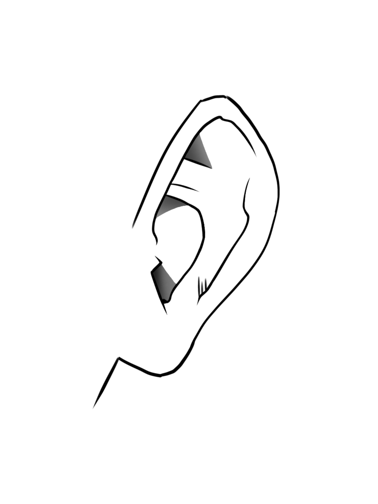 Ear practice - ibisPaint