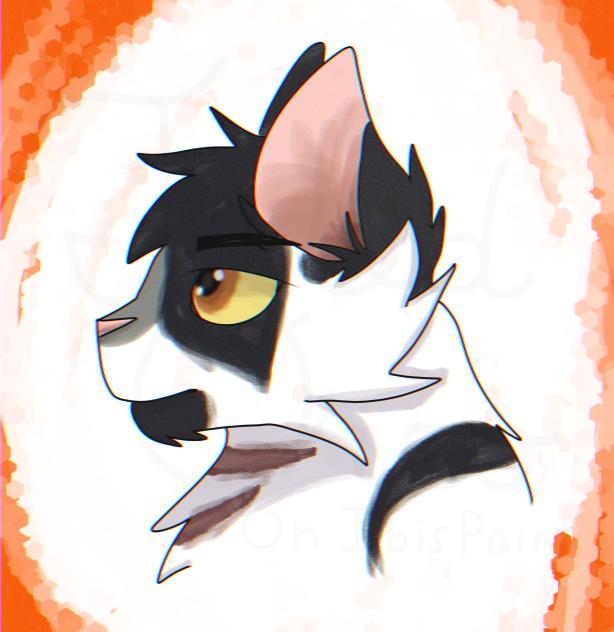 Warrior Cat Thing - ibisPaint
