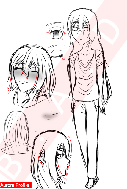 OC Profile (Aurora) - ibisPaint