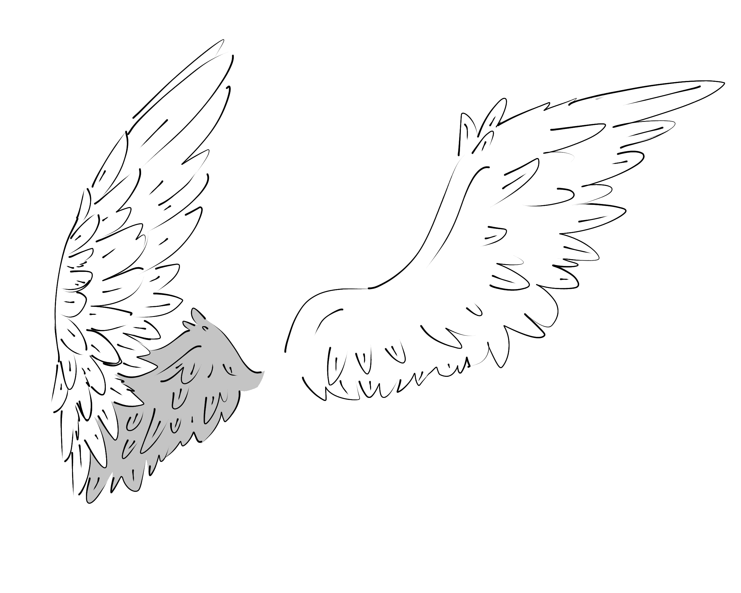 wings #1 - ibisPaint