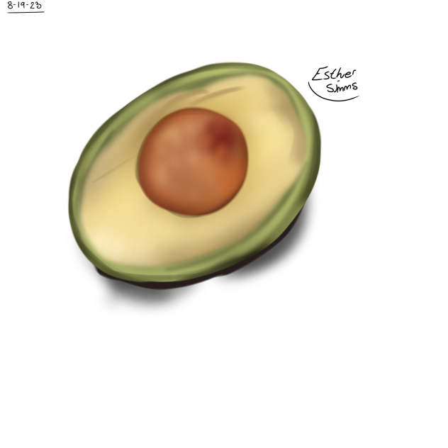avocado [with pit] - ibisPaint