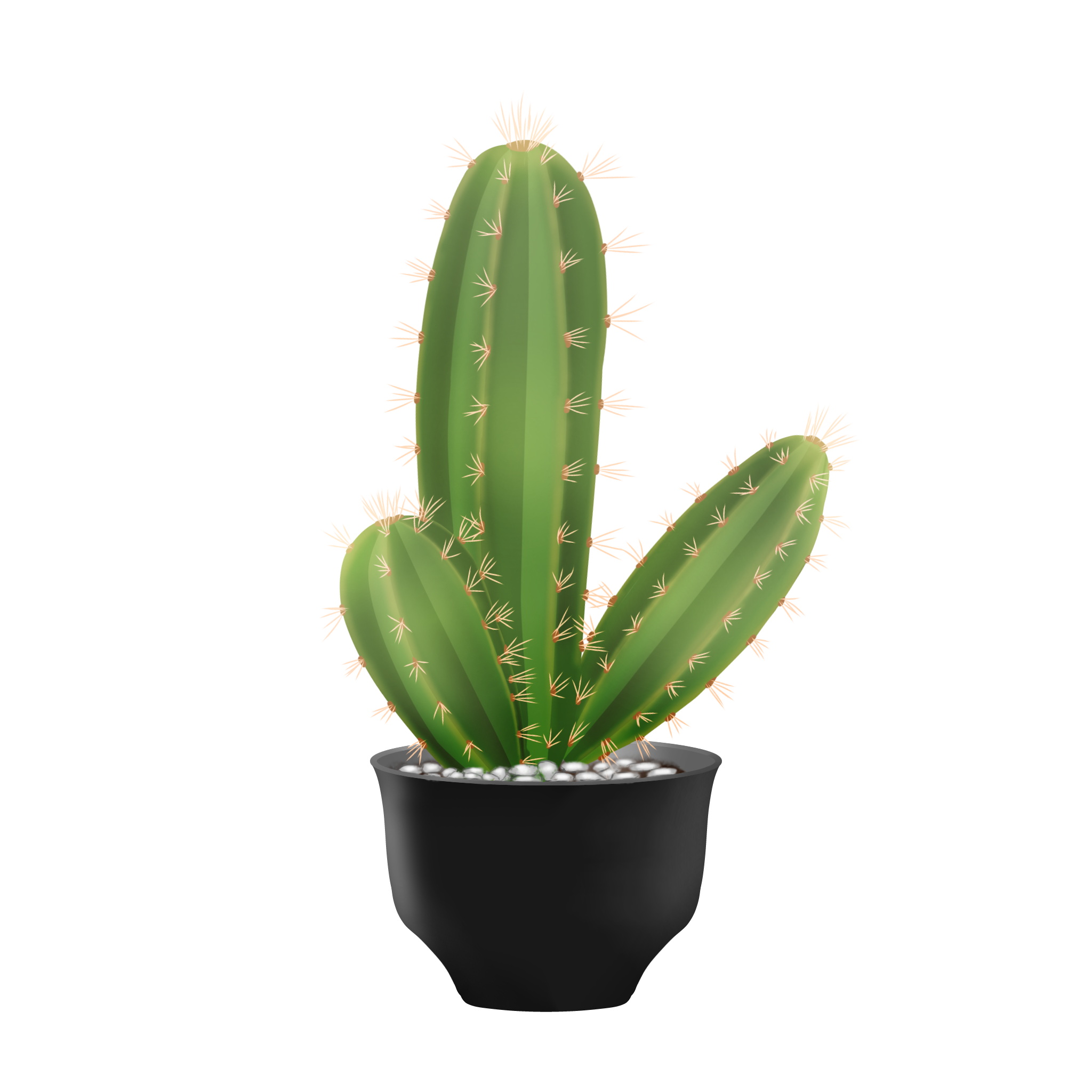 Cactus2 - ibisPaint