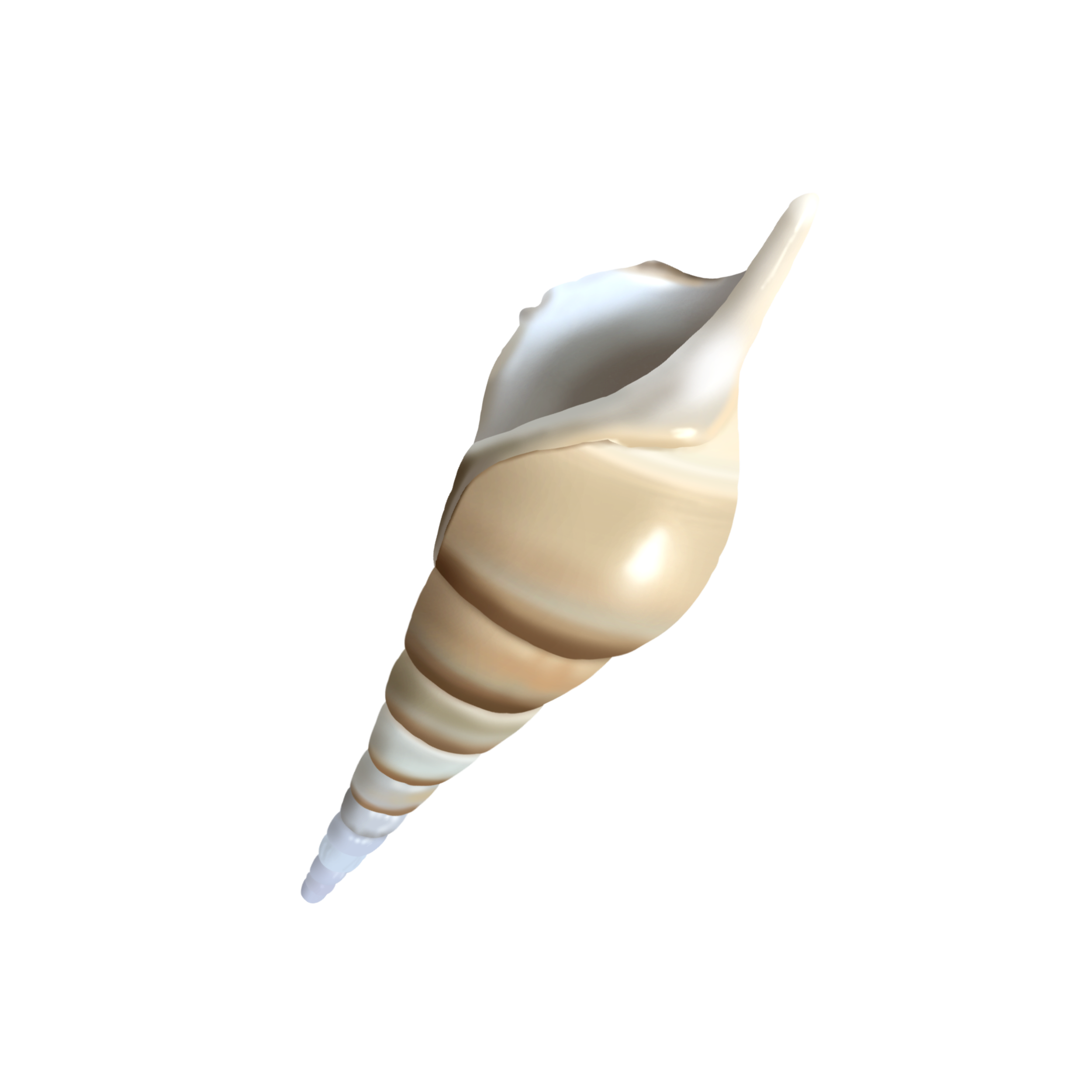 snail shell - ibisPaint