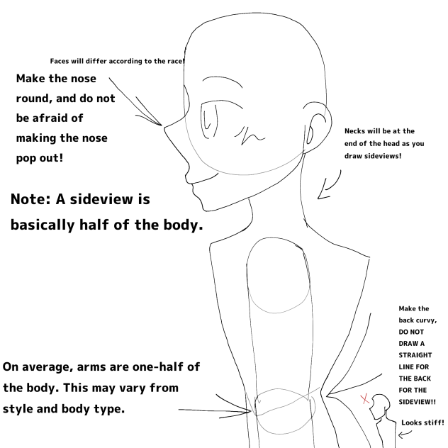 How to draw sideviews (Tutorial) - ibisPaint