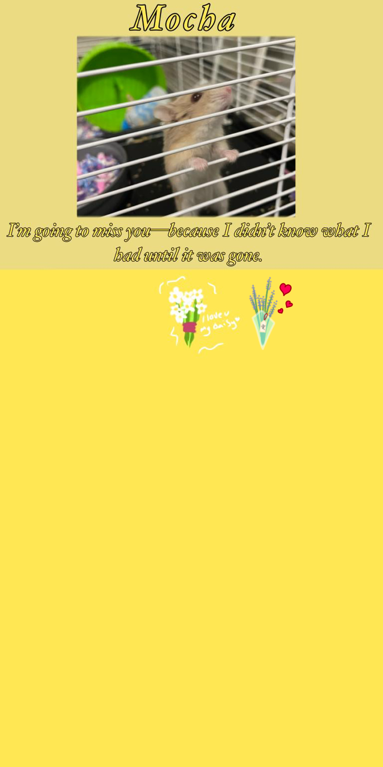 Flowers For Mocha ️🍄 - ibisPaint