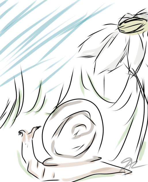 snail - ibisPaint