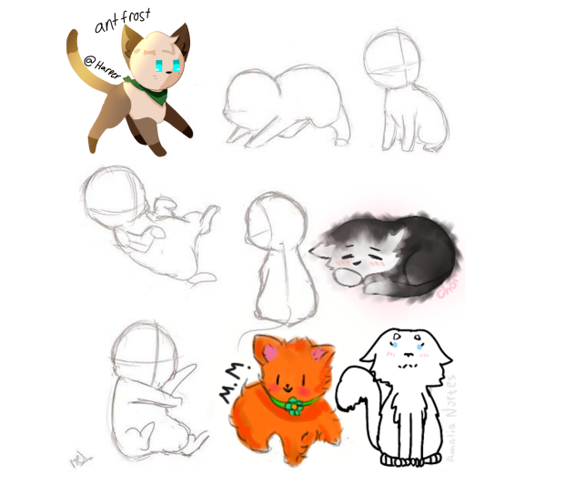 Cat collab !antfrost! - ibisPaint