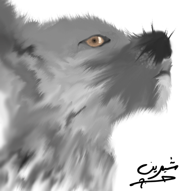 animals - ibisPaint