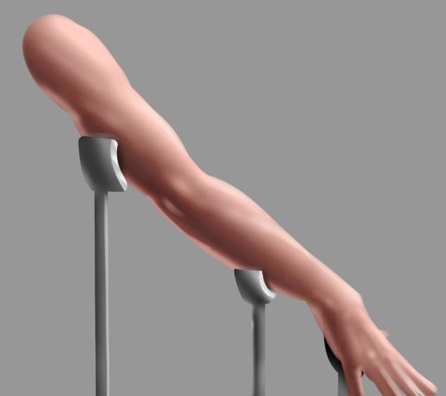 human arm - ibisPaint