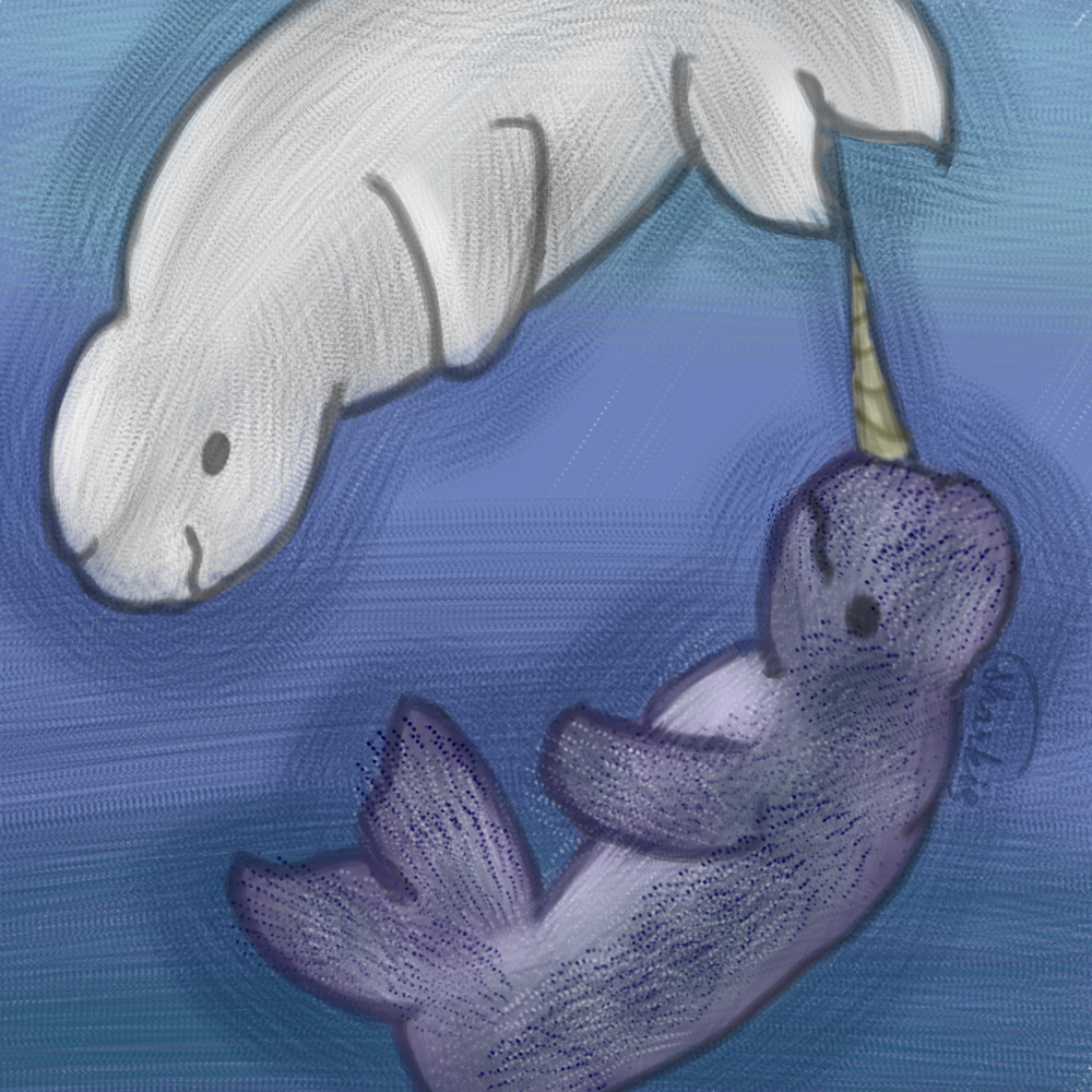 Narwhal and Beluga Whale - ibisPaint