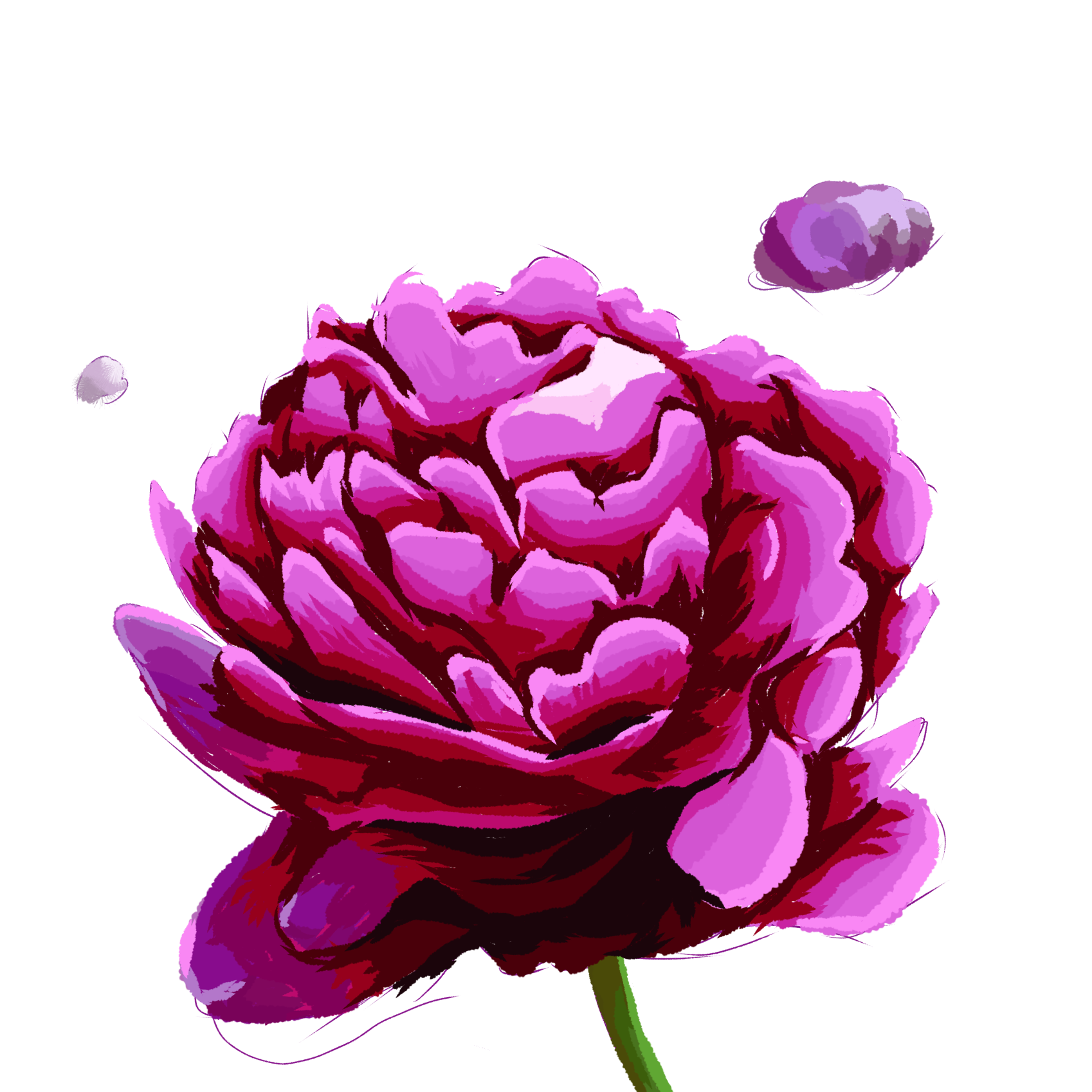 peony realism test - ibisPaint