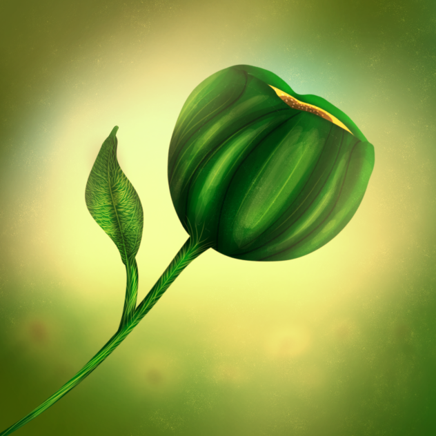 The rapunzel flower - ibisPaint