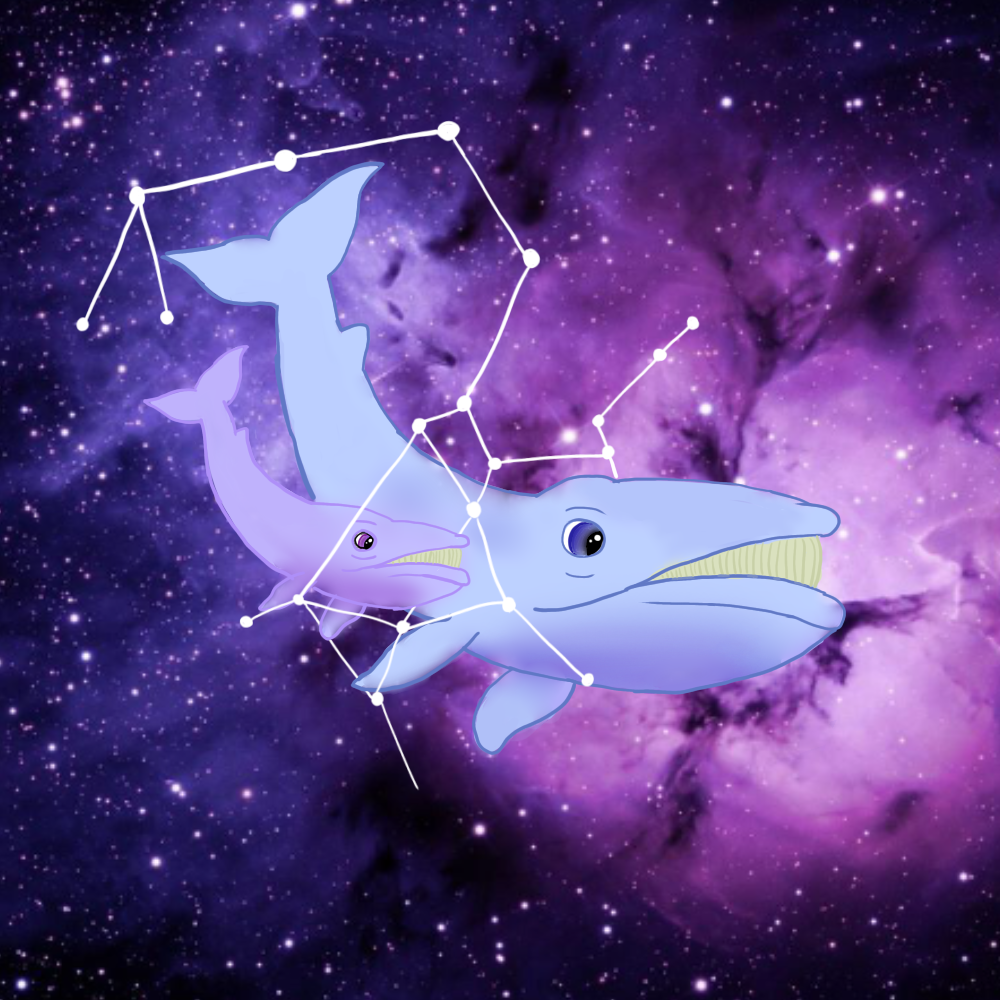 Galaxy whales - ibisPaint
