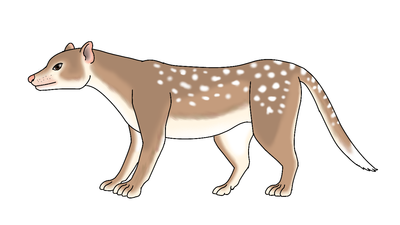 Borhyaena tuberata render - ibisPaint