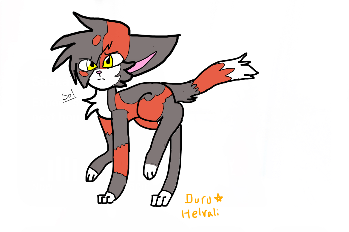 Warrior Cats Sol - ibisPaint
