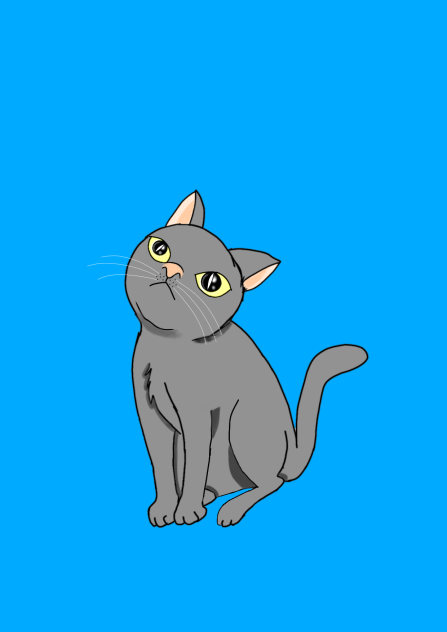 grey cat - ibisPaint