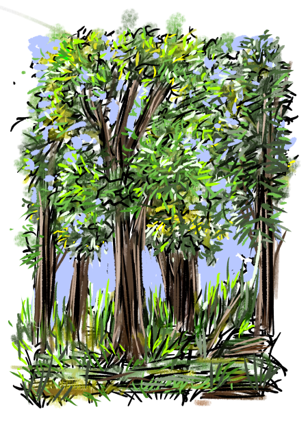 trees - ibisPaint
