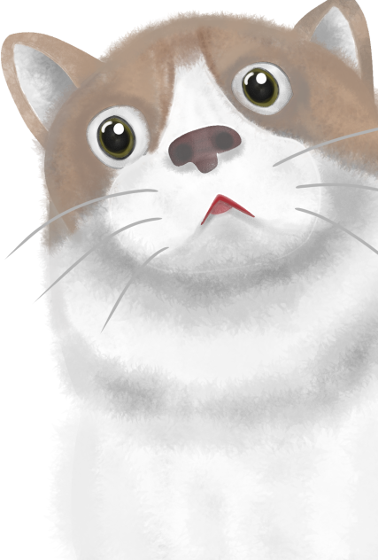 Emir Cat's - ibisPaint