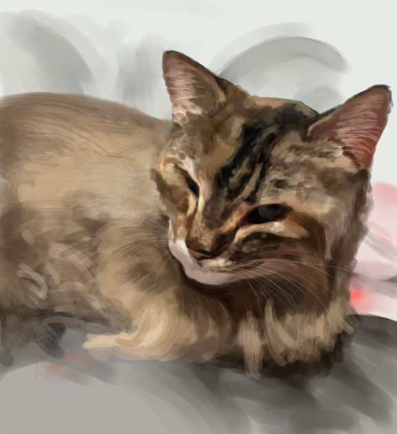 My cat!! - ibisPaint