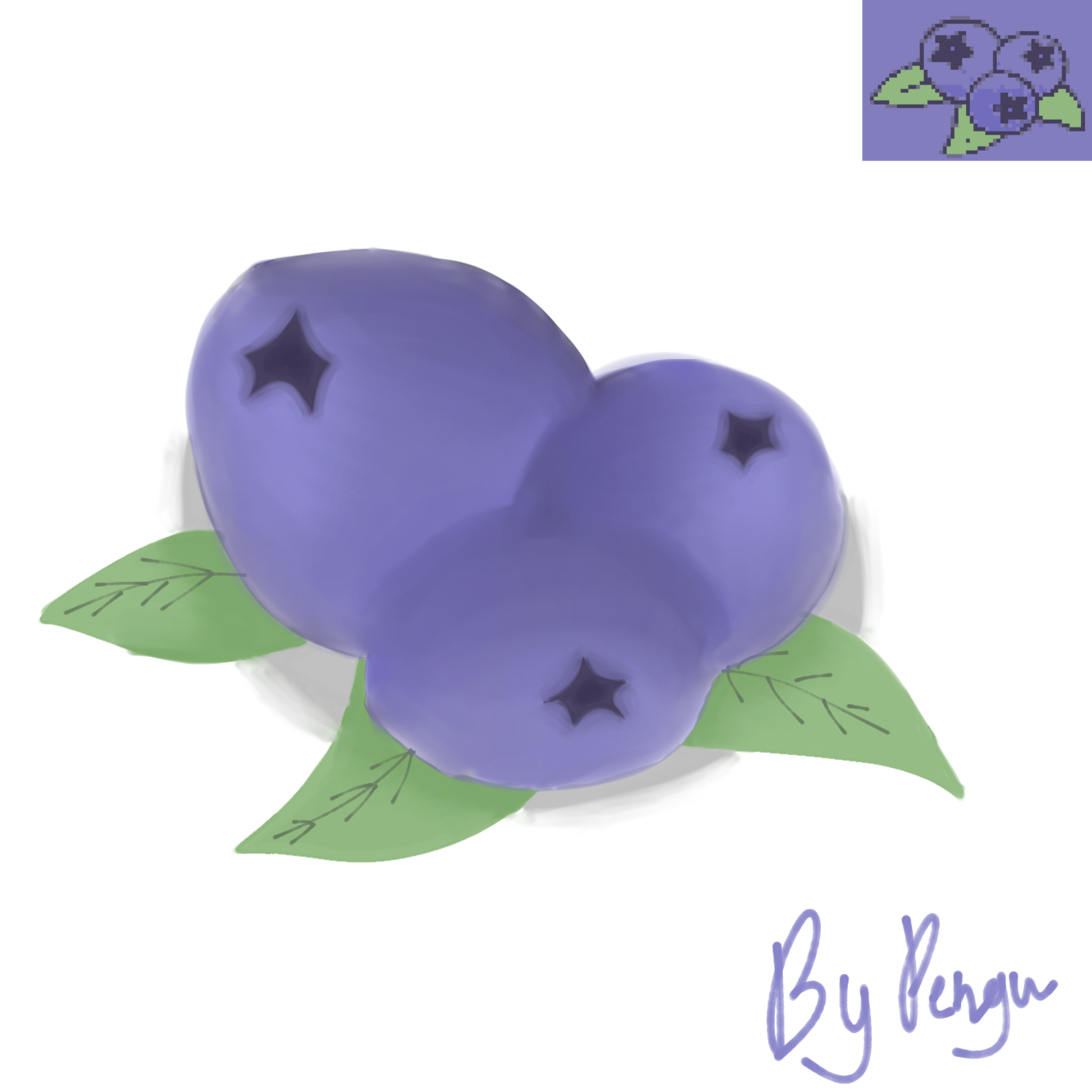 Blueberry🫐 - ibisPaint