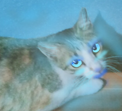 frozen kitty - ibisPaint