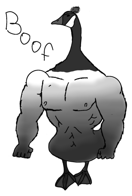 Goose+buff=Boof - ibisPaint