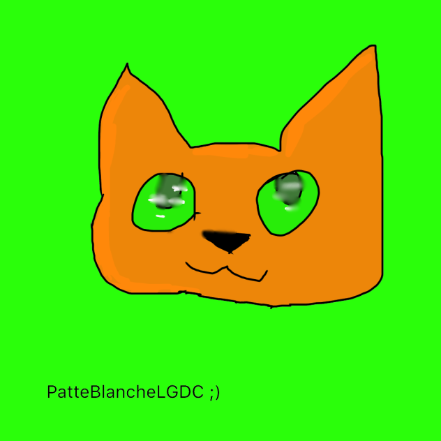 chat chelou - ibisPaint