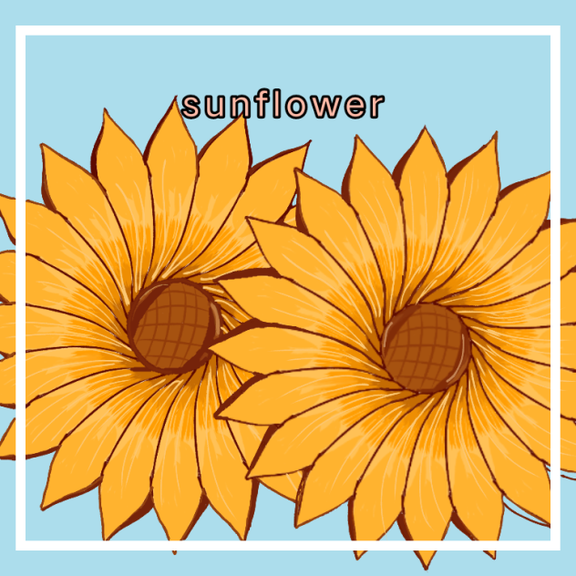 (sunflower drawing😀 ) - ibisPaint