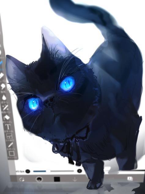 Black cat - ibisPaint