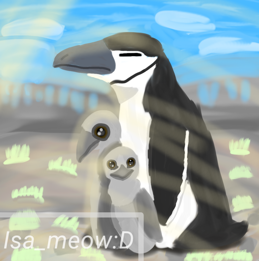 penguin - ibisPaint