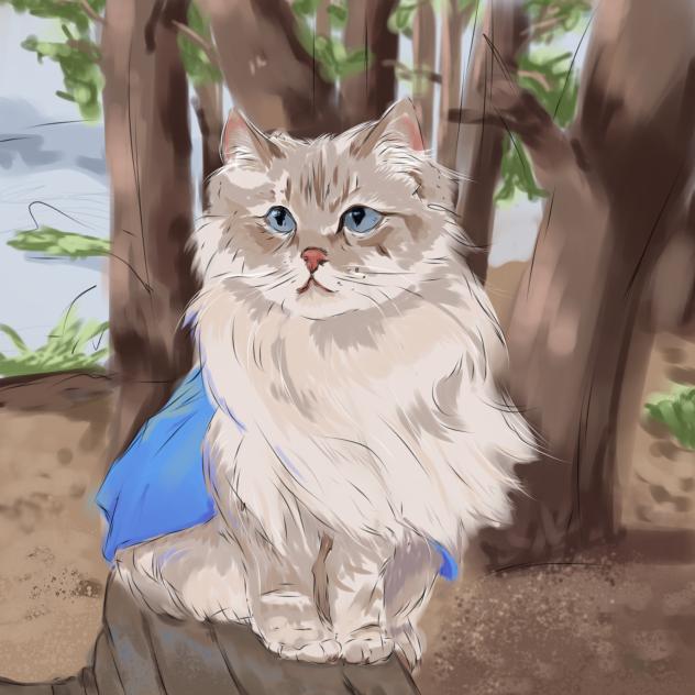 Floofy Car on the Bay - ibisPaint