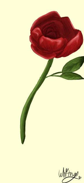 rose of death - ibisPaint