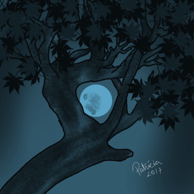 Night and moon - ibisPaint