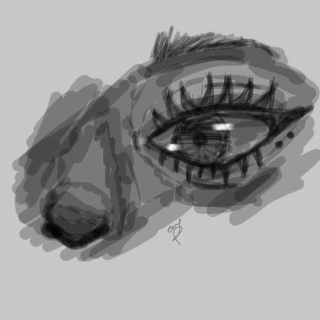 Eye and Nose - ibisPaint