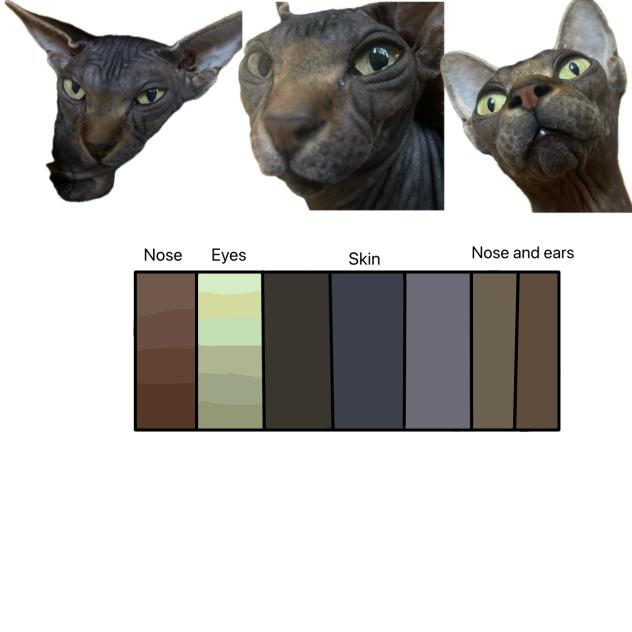 My cats colors - ibisPaint