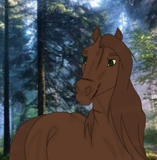 Redesigned Liu - ibisPaint