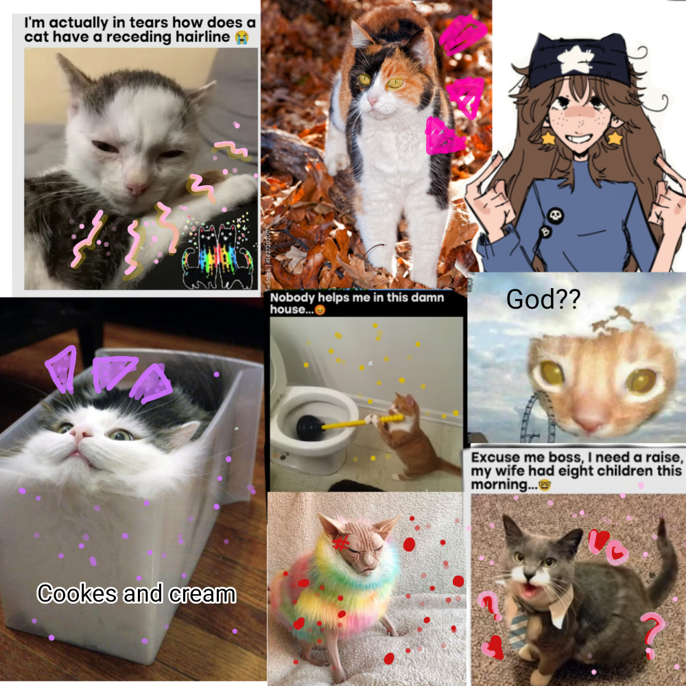 cats 🐈 - ibisPaint