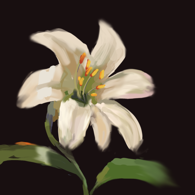 Flowah - ibisPaint