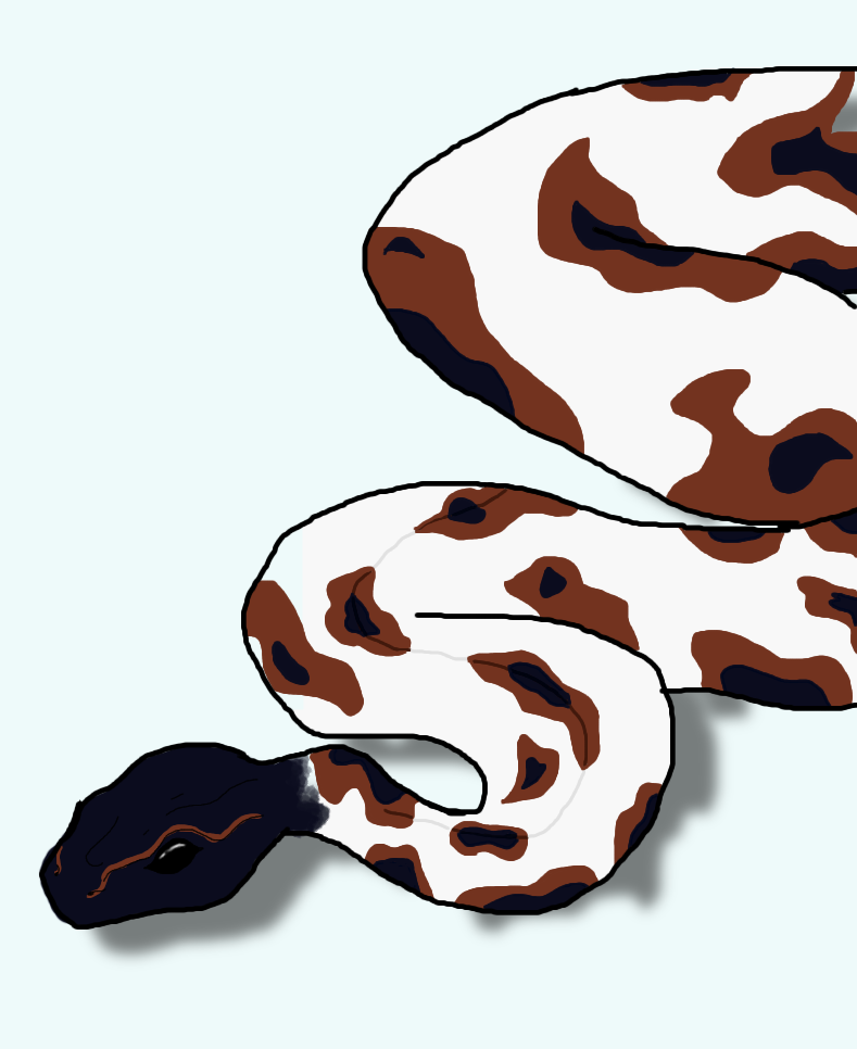 𝓢𝓷𝓪𝓴𝓮🐍 - ibisPaint