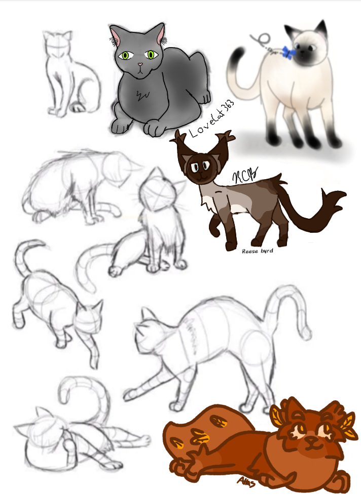 Warriors Oc Collab - ibisPaint